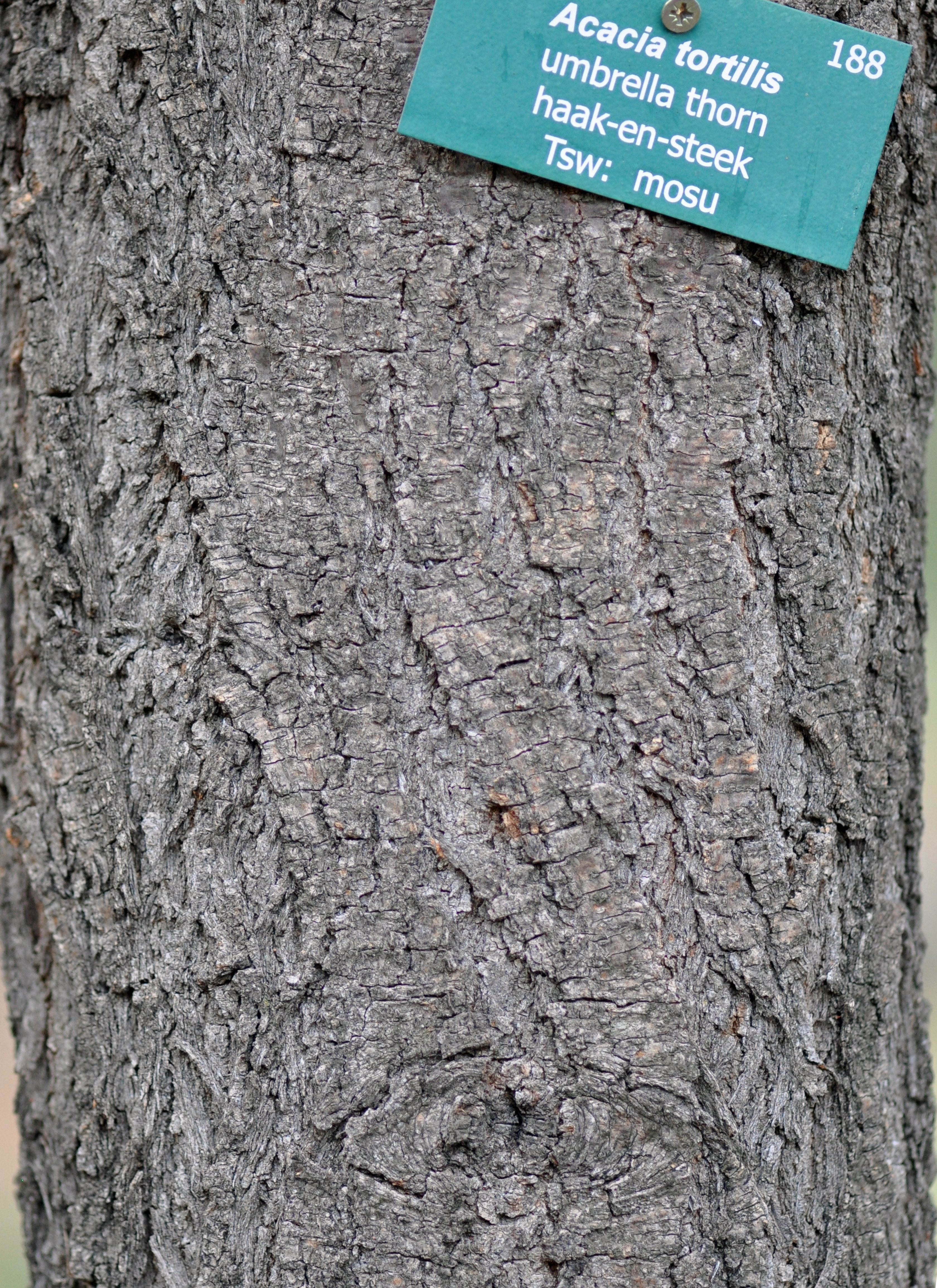 Marakele National Park | Tree SA