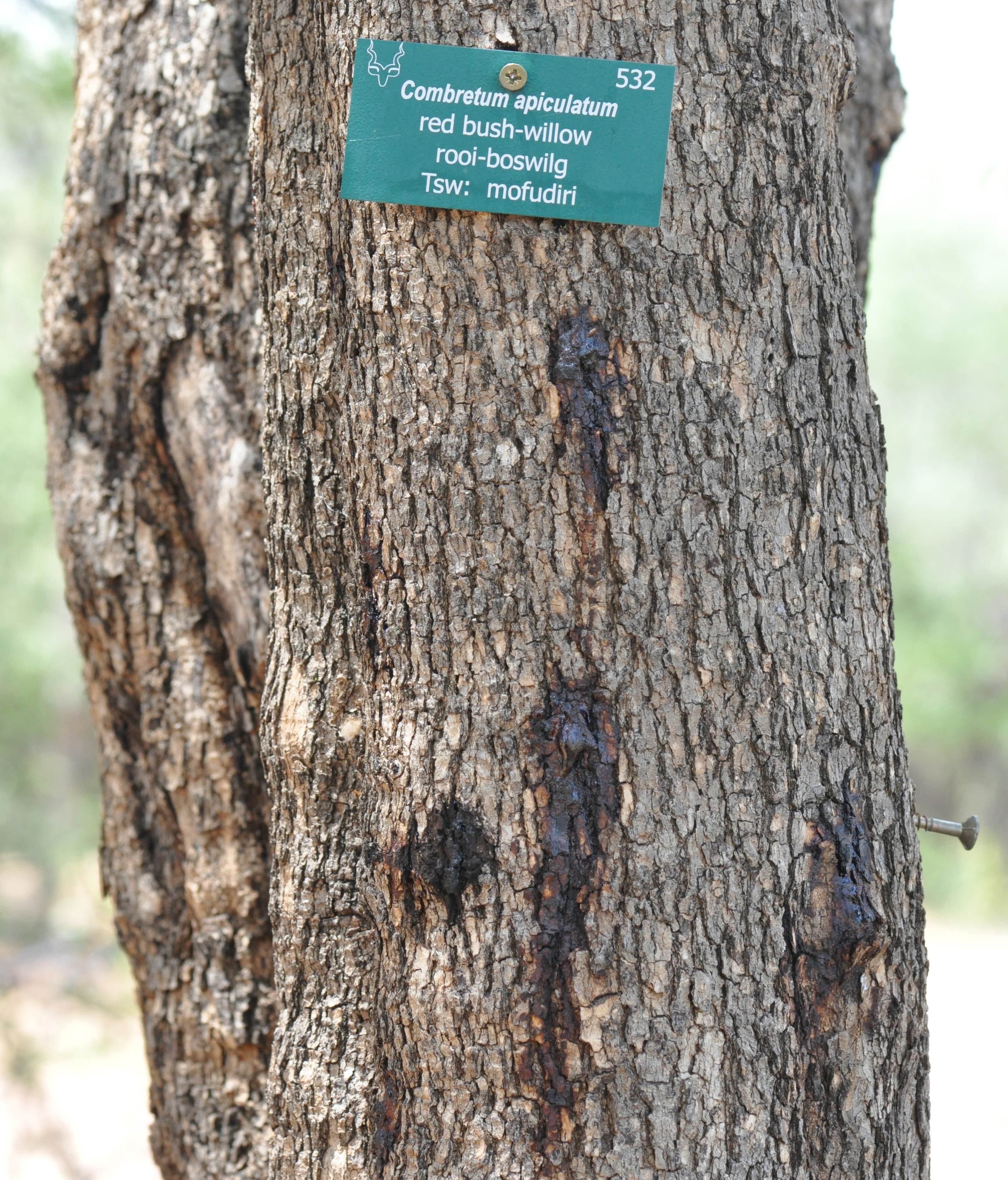 Marakele National Park | Tree SA